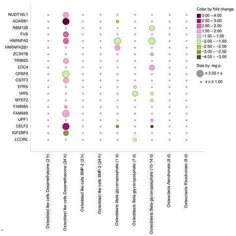 Rna Binding Proteins As Novel Effectors In Osteoblasts And Osteoclasts