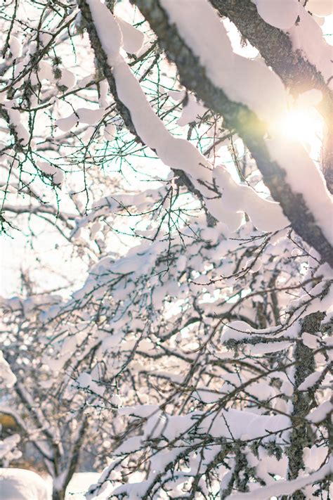 스노우보드를 타고 눈 덮인 슬로프를 내려가는 사람 사진 Unsplash의 무료 라트비아 이미지