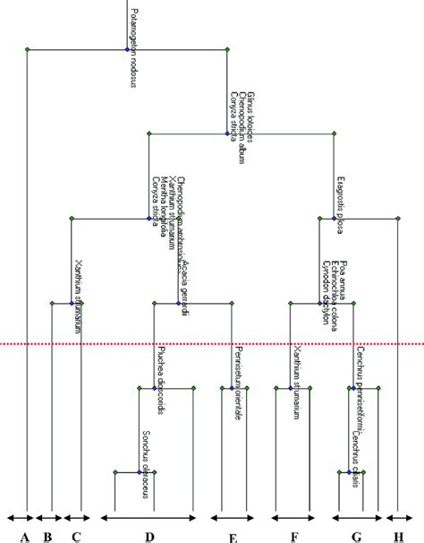 The Dendrogram Resulting From The Application Of Twinspan On The 41 Download Scientific Diagram
