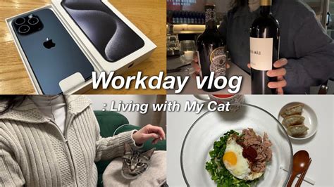 Vlog 주 4일제 근무 기원 531일차 대기업 직장인 브이로그 아이폰 15프로 블루 티타늄 언박싱 참치 부추 비빔밥 화상 영어 링글 공부 도시락 싸기