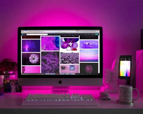 Best Nextjs Web Design Services In Chicago Creative Web Solutions