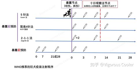 狂犬 及 疫苗 之 全面科普 知乎