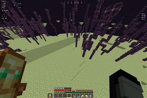 End Chunk Error Rminecraft