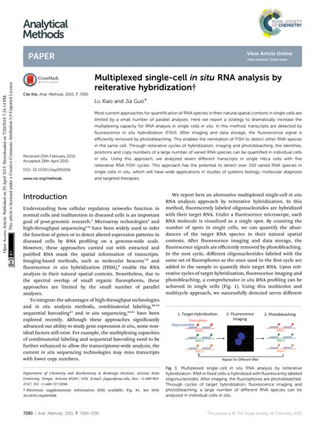 Pdf Multiplexed Single Cell In Situ Rna Analysis By Reiterative