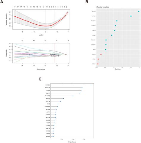 Integrating Machine Learning And Single Cell Transcriptomic Analysis To Identify Potential