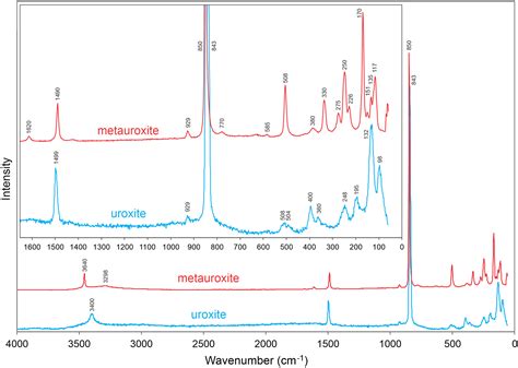 Uroxite And Metauroxite The First Two Uranyl Oxalate Minerals