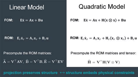 What Is Nonlinear Model Reduction