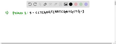 Solvedpolymerase Chain Reaction One Strand Of A Chromosomal Dna