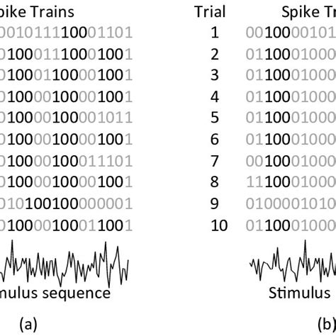Pdf Principles Of Neural Information Theory Computational Neuroscience And Metabolic Efficiency