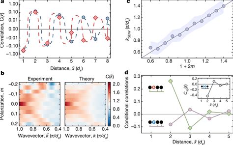Incommensurate Spin Correlations Versus Polarization A Spin Download Scientific Diagram