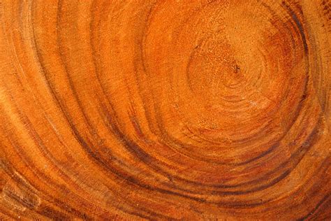 Beautiful Surface Pattern In The Industry Structure Privacy Floor Photo Background And Picture