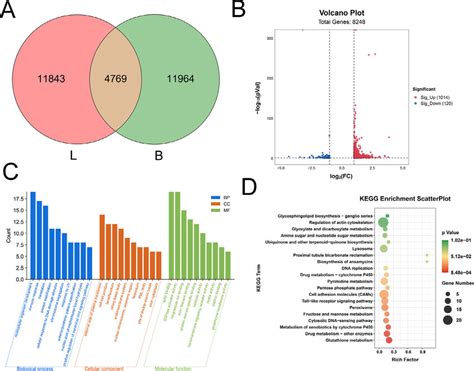 Identification And Functional Analysis Of Differential Peak Genes In