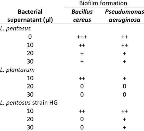 The Antibiofilm Activity Of Lactobacillus Cell Free Supernatants