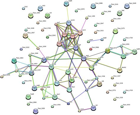The Protein And Protein Interaction Networks Of All Differentially Download Scientific Diagram