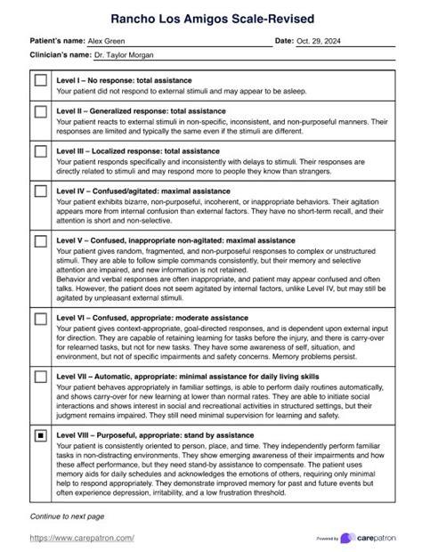 Rancho Los Amigos Scale And Example Free Pdf Download