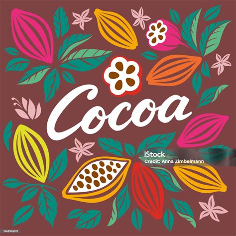 잎과 코코아 콩입니다 그려진 코코아 콩 열대 과일 단풍 유기농 디저트 향기로운 음료 천연 초콜릿 벡터 그래픽 배경입니다 0명에 대한 스톡 벡터 아트 및 기타 이미지 Istock