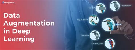 Macgence Data Augmentation In Deep Learning Solutions