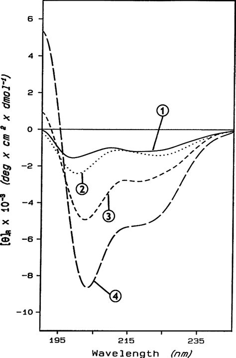 Processing Of Peptide And Hormone Precursors At The Dibasic Cleavage Sites PMC