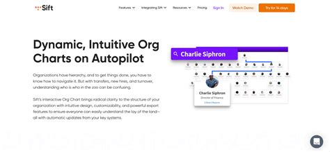 Best Organization Chart Software Idea Strider