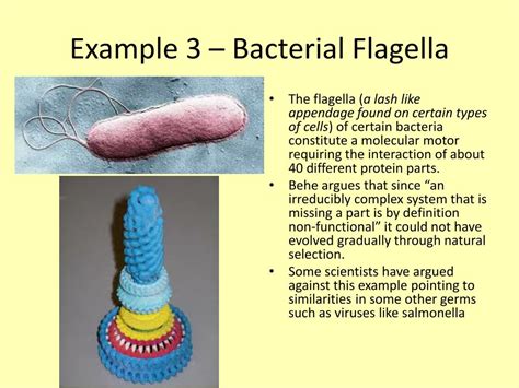 Ppt Intelligent Design And Irreducible Complexity Powerpoint