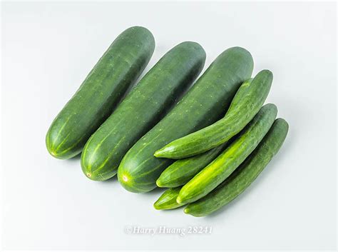 Harry 28241 大黃瓜 小黃瓜 有機大黃瓜 有機小黃瓜 胡瓜 黃瓜 蔬菜 有機蔬菜 蔬果 水果 果實 a photo on
