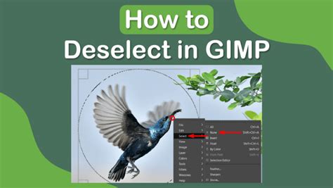 How To Deselect In GIMP Imagy