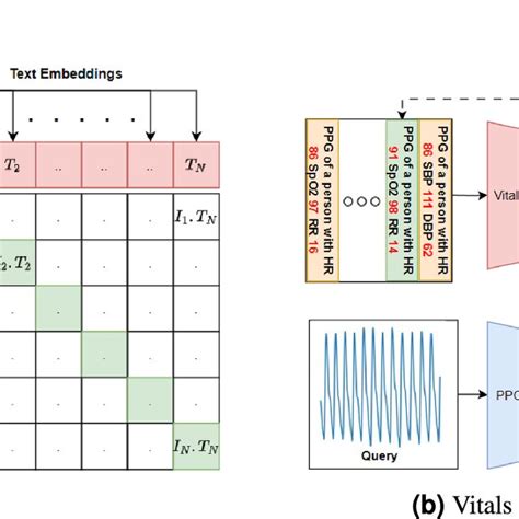 The Clip Neural Network Model For One Shot Estimation Of Vitals Download Scientific Diagram