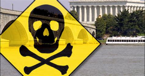 Is Pollution Causing Intersex Fish CBS News