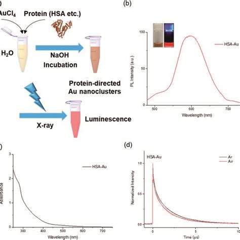 photochemical properties of hsa directed au∼20 clusters a schematic