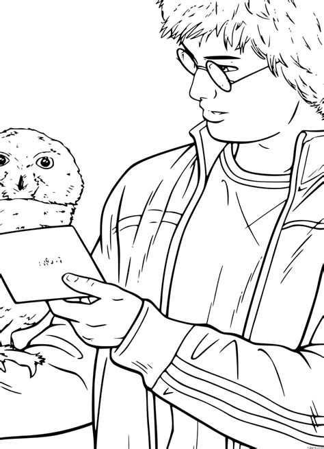 Harry Potter Owl Book Coloring Page Turkau