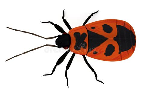 Firebug Stock Illustrations 414 Firebug Stock Illustrations Vectors And Clipart Dreamstime Firebug Stock Illustrations 414 Firebug Stock Illustrations Vectors And Clipart Dreamstime