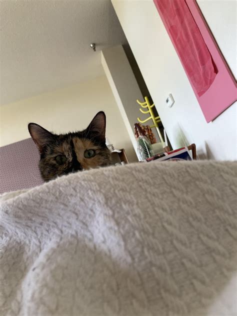 Lilith Says Good Morning Rtorties