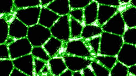 Abstract Neural Networks In Motion Design Abstract Biological Neural