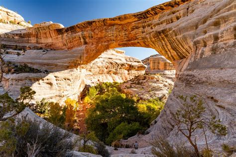 Natural Bridges National Monument Dark Sky Wonder