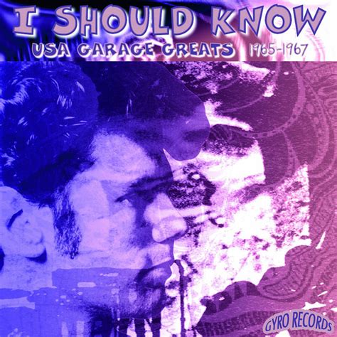 Usa Garage Greats 1965 1967 Vol 140 I Should Know Various Artists
