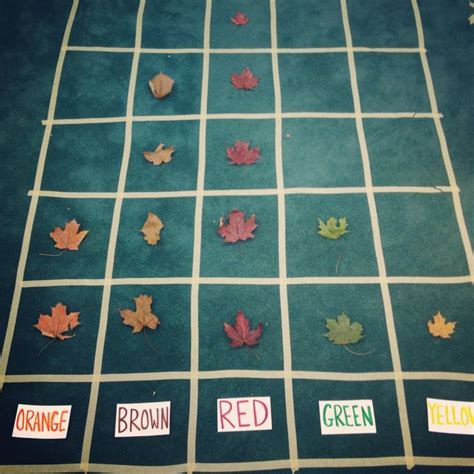 Leaf Graph For Kindergarten Fall Unit