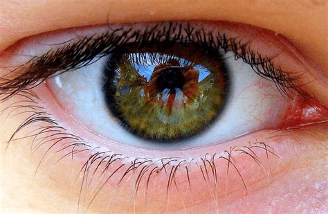 Spiritual Meaning Of Limbal Ring Around The Eye Christian Faith Guide
