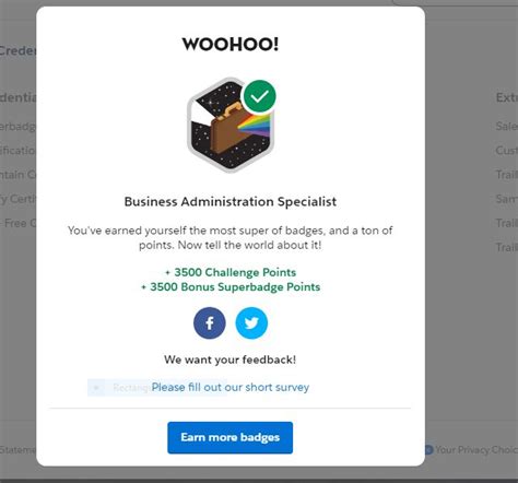 Earned Salesforce Superbadge Israr Ali Posted On The Topic Linkedin
