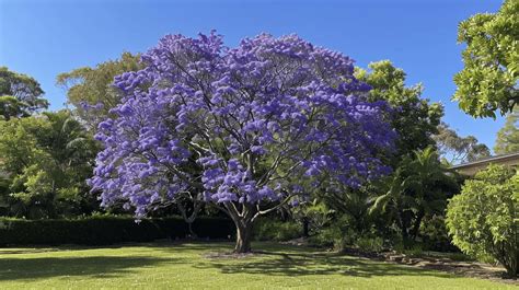 How To Grow Cherry Trees From Seed