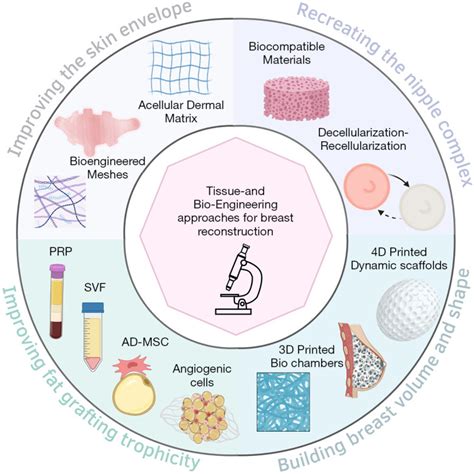 Tissue Engineering Strategies For Breast Reconstruction A Literature