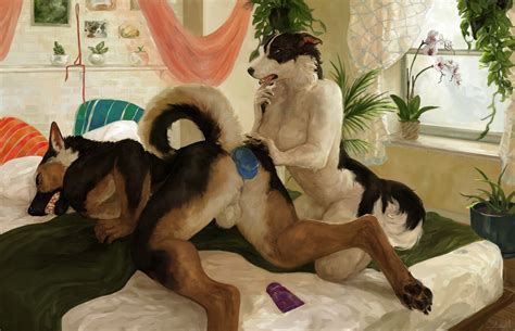Rule 34 2017 Anal Anal Sex Anthro Balls Border Collie Breasts Canine