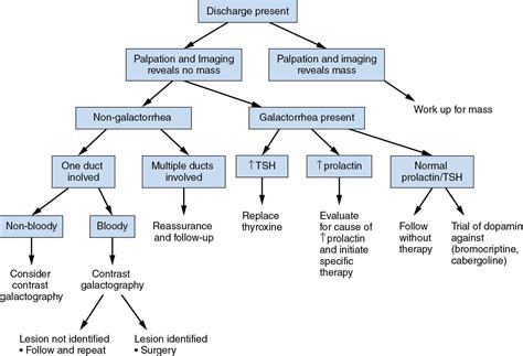 Breast Diseases Detection Management And Surveillance Of Breast