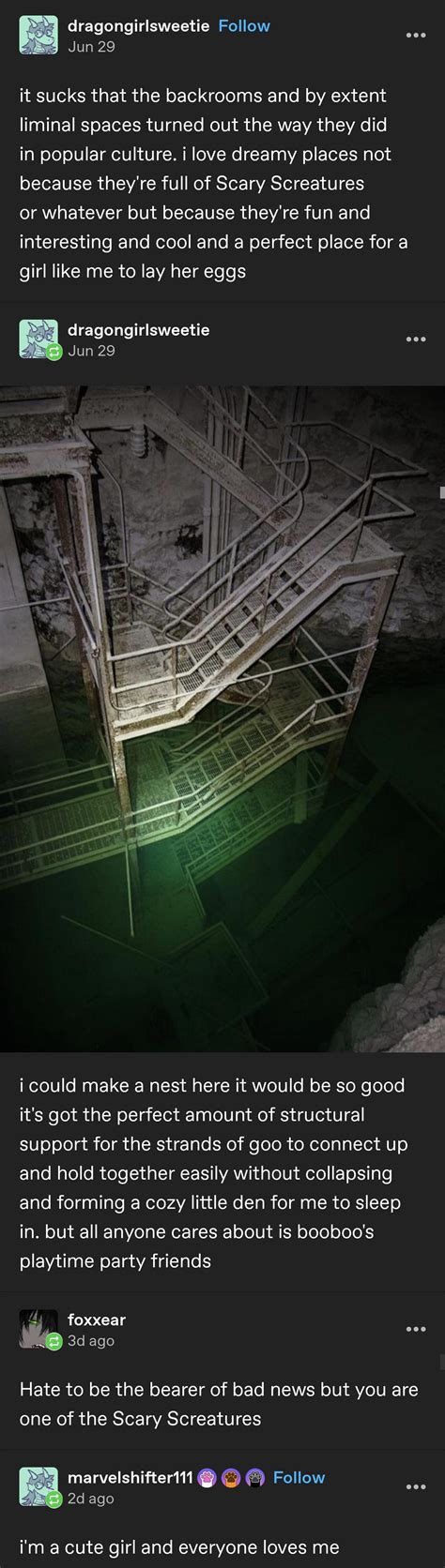 Cozy Liminal Spaces Album On Imgur