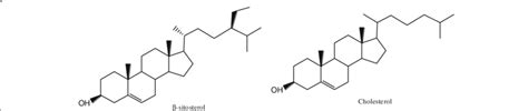 Structural Formulas Of β Sitosterol And Cholesterol Download Scientific Diagram