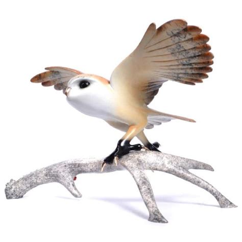 Amelia By Tim Cotterill R Frogs Gallery