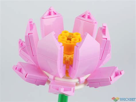 Lego Creator 40647 Lotus Flowers Review Brickset