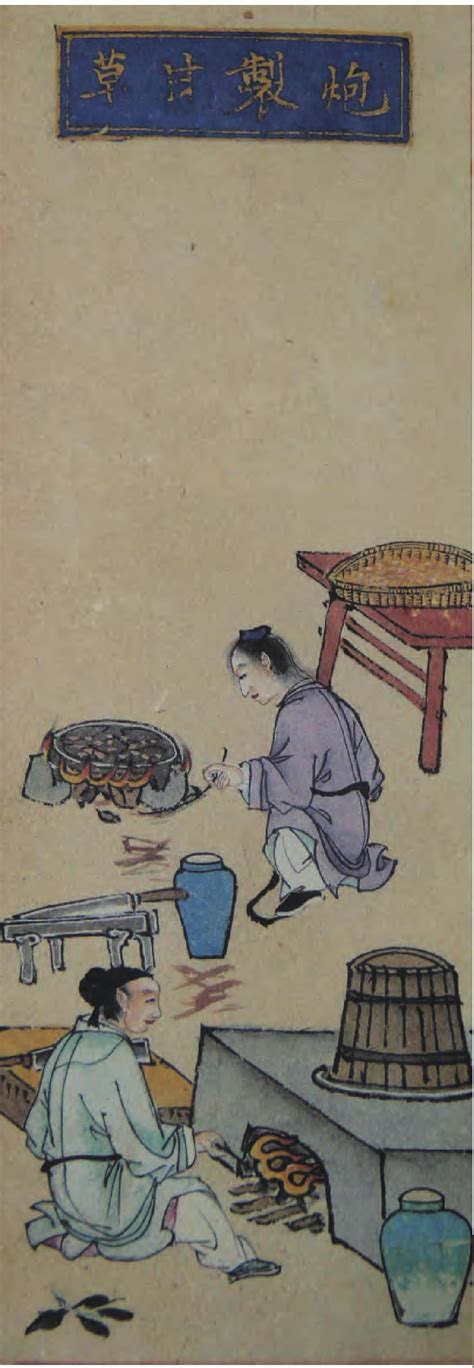 甘草 中药学 医学