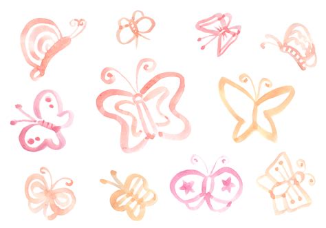 나비 호랑나비 꽃 프레임 곤충 사진이미지일러스트캘리그라피 아름다운별작가