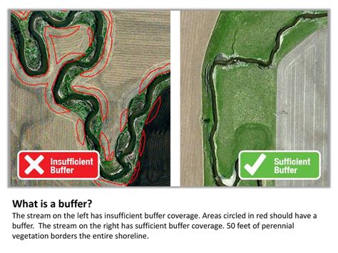 What Is A Buffer A Buffer Also Known As A Riparian Area Is Land