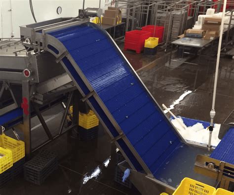 6a Elevator Feed Sort Rite